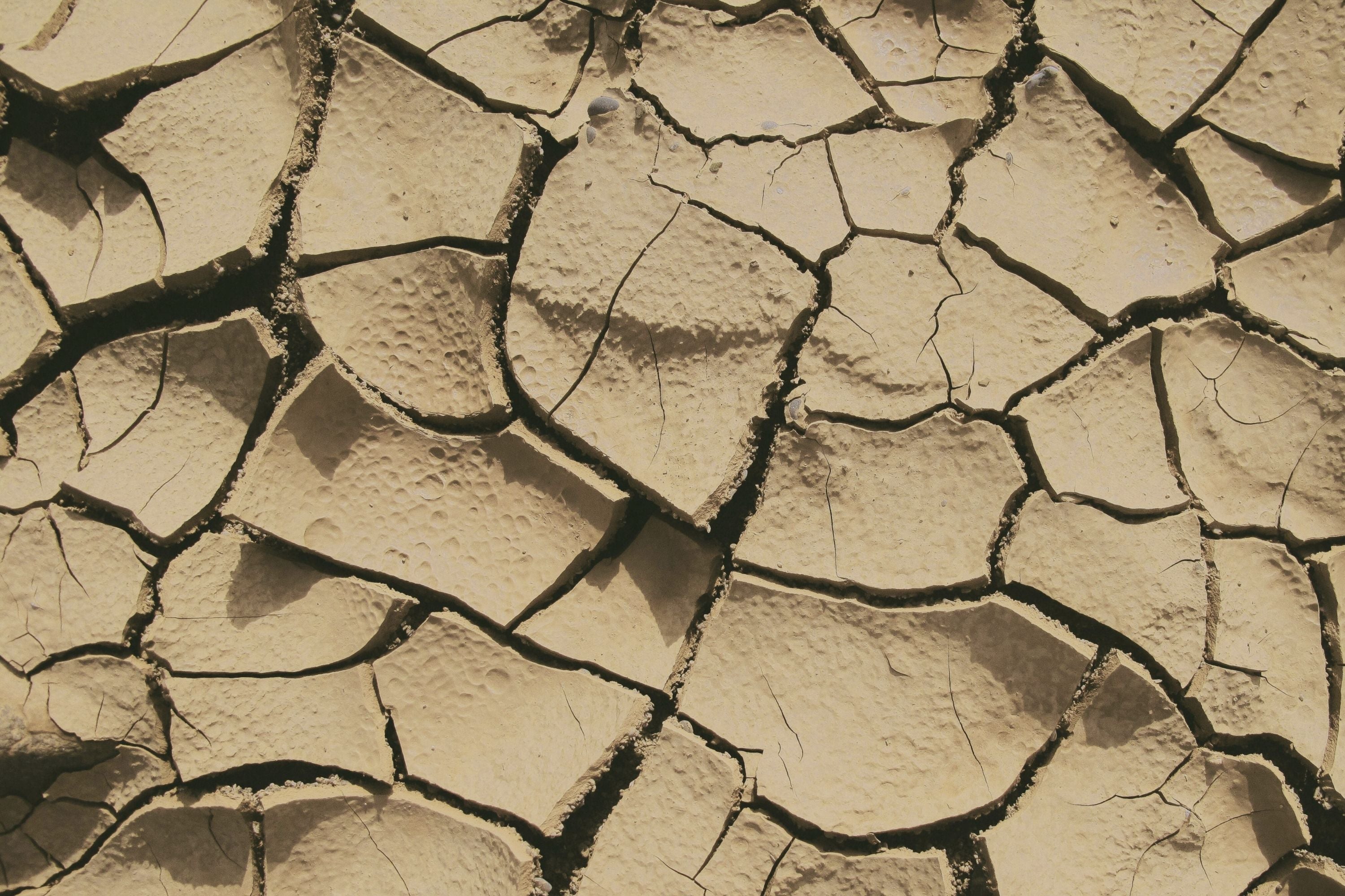 pottery sustainable practices: reclaiming clay – studio alden